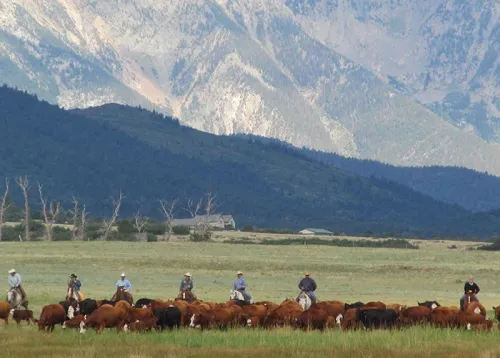 About Us | Maytag Mountain Ranch